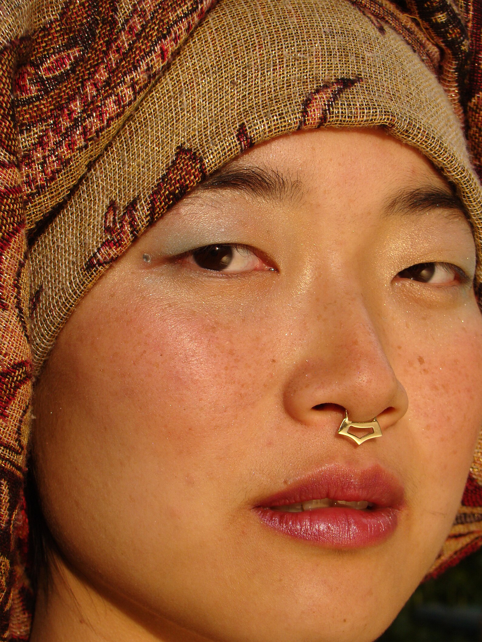 Gold Septum Shield Septum gold Septum Ring Septum Piercing | Etsy