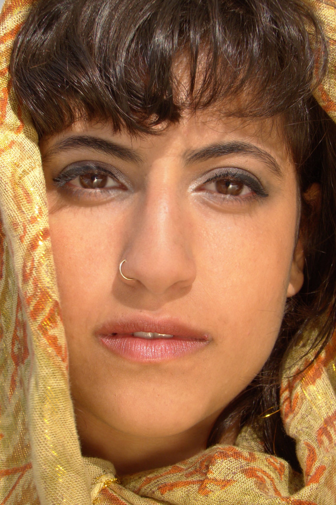 Classic Nose Ring Delicate Nose Ring Gold Nose Ring Endless - Etsy