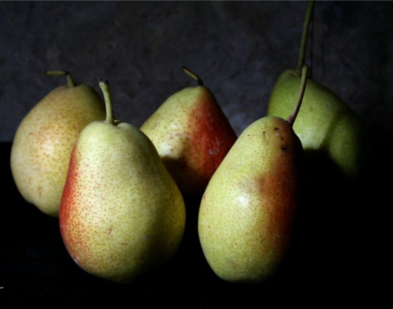 Pear Photography Rustic Wall Art Still Life Kitchen Decor Home Wall Art ...