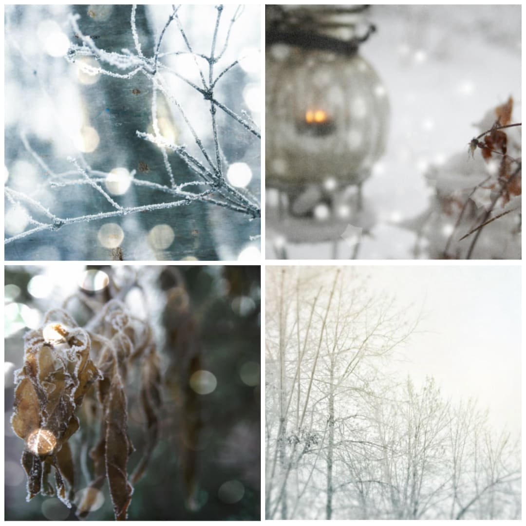Winter Photography Set of Four Winter Photography Winter Art Winter ...