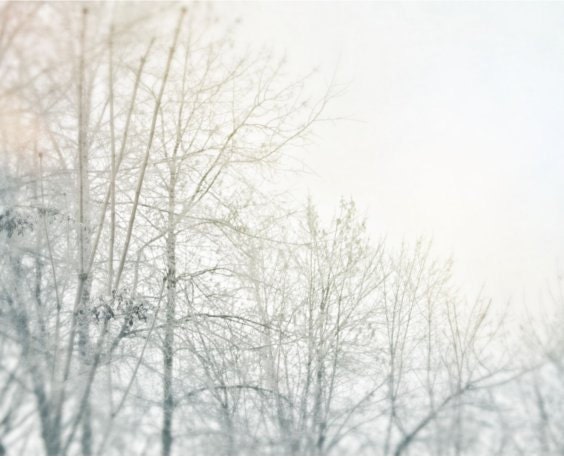 Winter Photography Set of Four Winter Photography Winter Art Winter ...