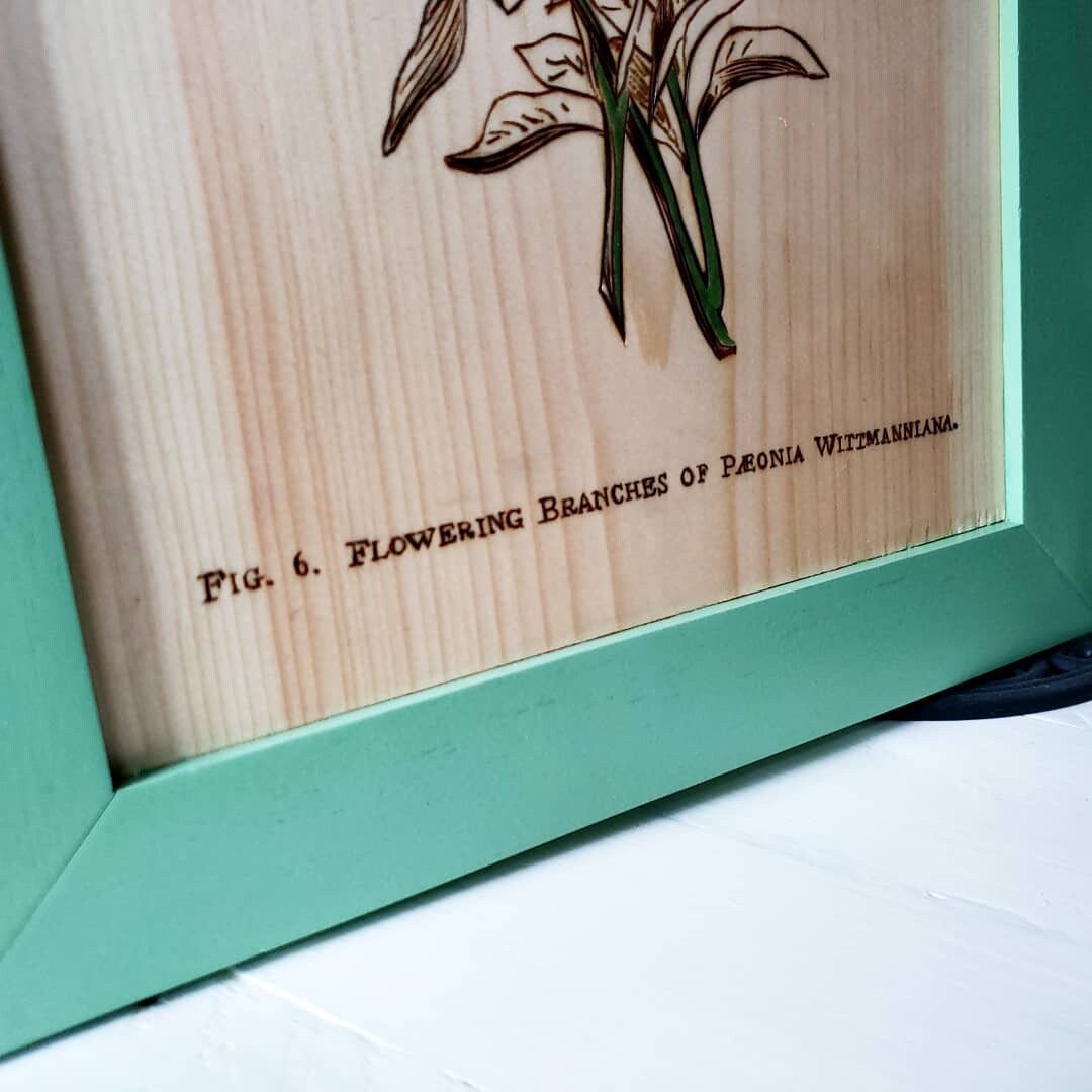 Botanical Print // Pyrography // Woodburning Art // Wood Wall | Etsy