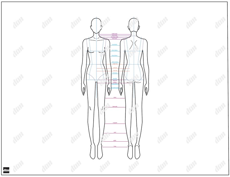 Basic Womens Croqui and Template (design Flat)-editable in Adobe ...