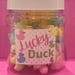 NEW! 32 PASTEL Lucky Ducks - Class Set of Incentive Ducks in a Home - Etsy