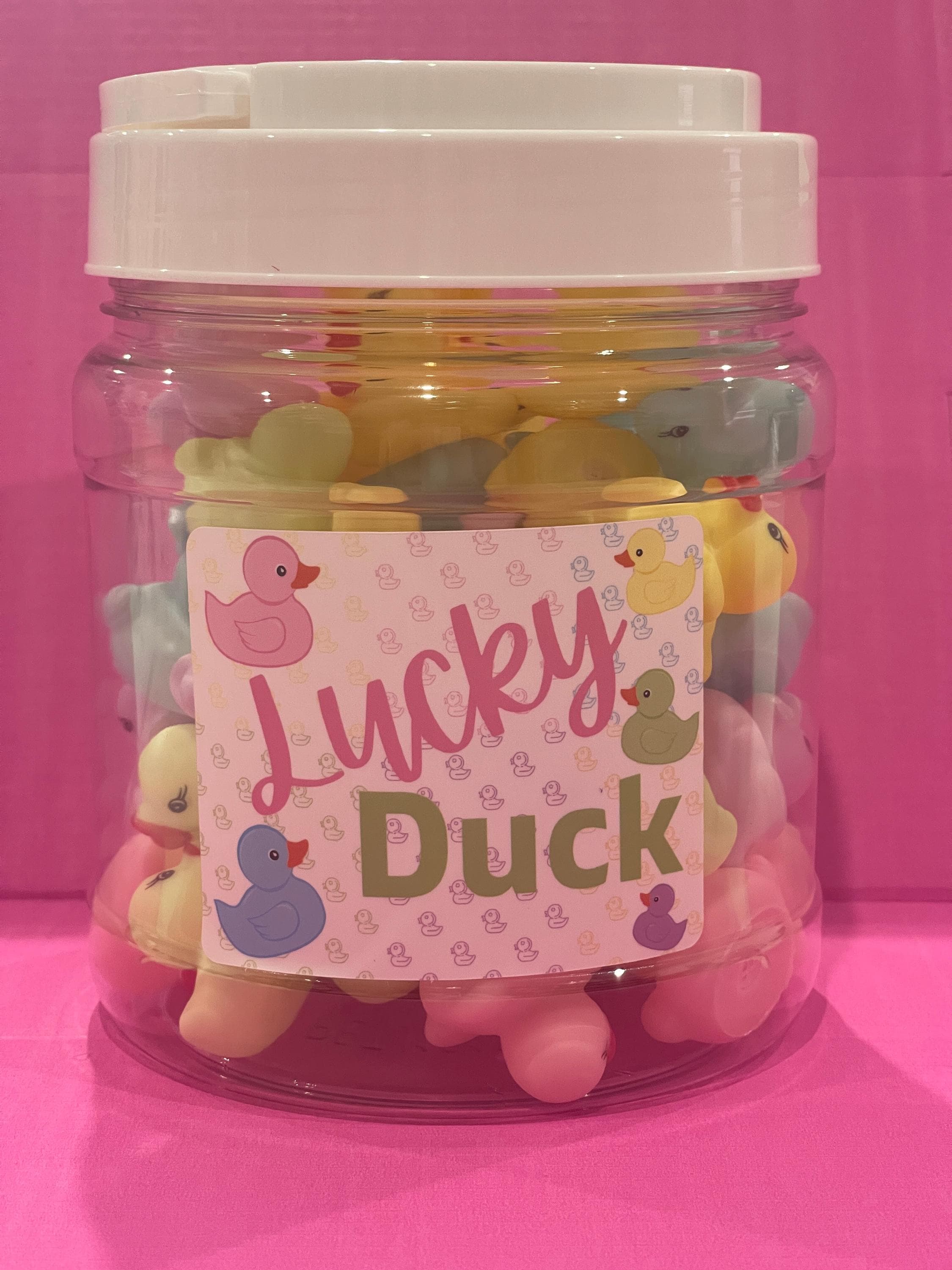 NEW! 32 PASTEL Lucky Ducks - Class Set of Incentive Ducks in a Home - Etsy