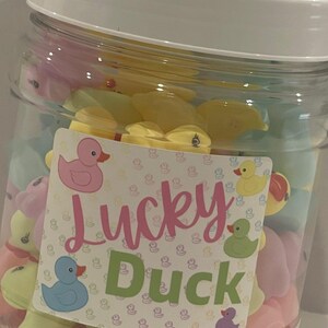 NEW! 32 PASTEL Lucky Ducks - Class Set of Incentive Ducks in a Home - Etsy