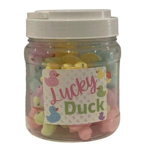NEW! 32 PASTEL Lucky Ducks - Class Set of Incentive Ducks in a Home - Etsy