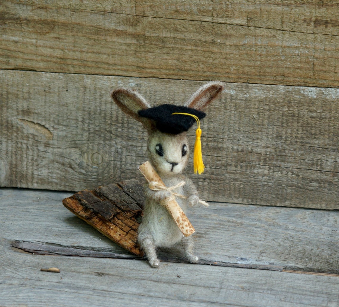 Graduation Bunny Felted rabbit Graduation present College Cute | Etsy