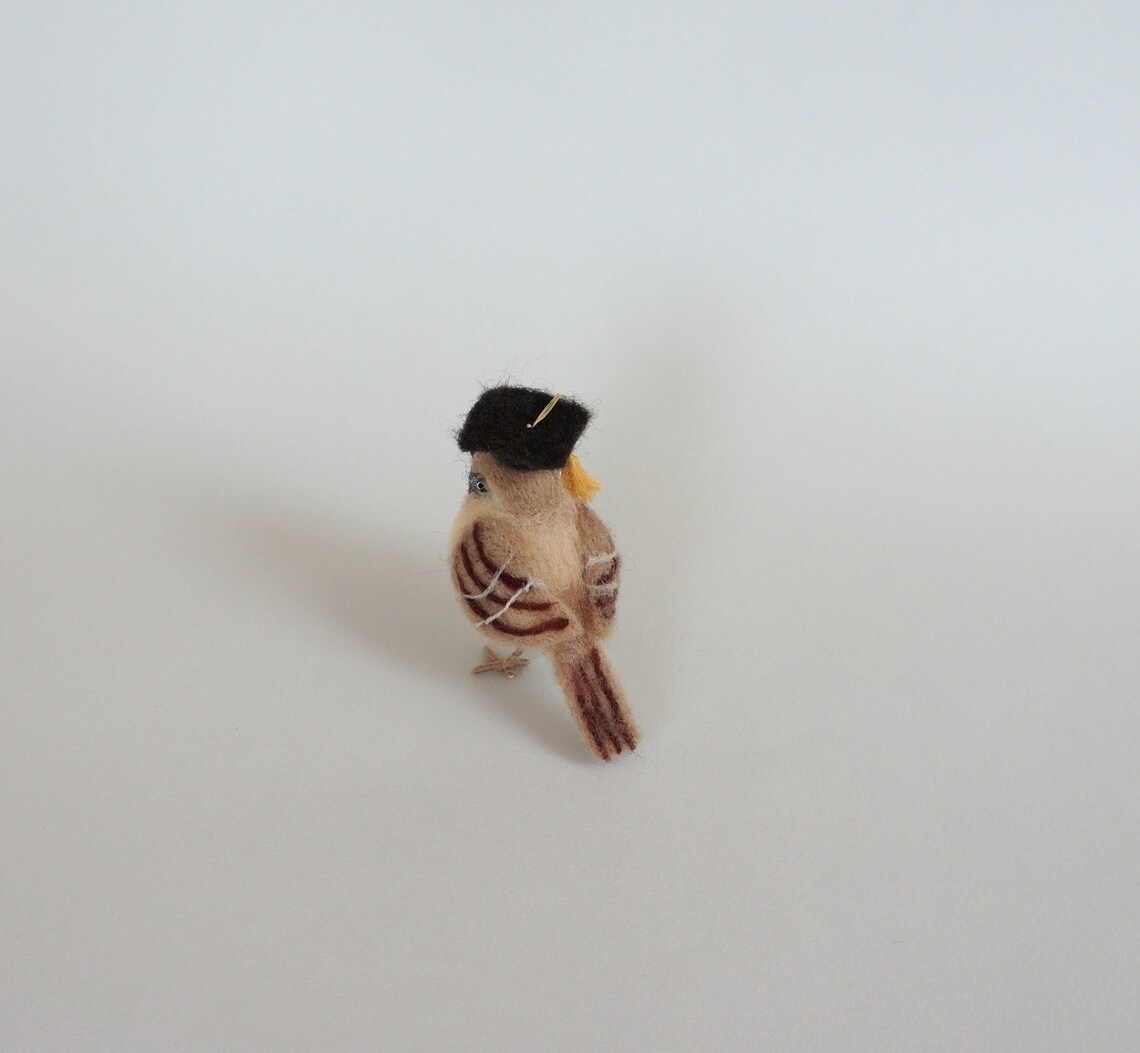 Graduation Sparrow College Gift Graduation Present Gift for | Etsy