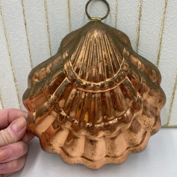 Scallop Shell - Etsy