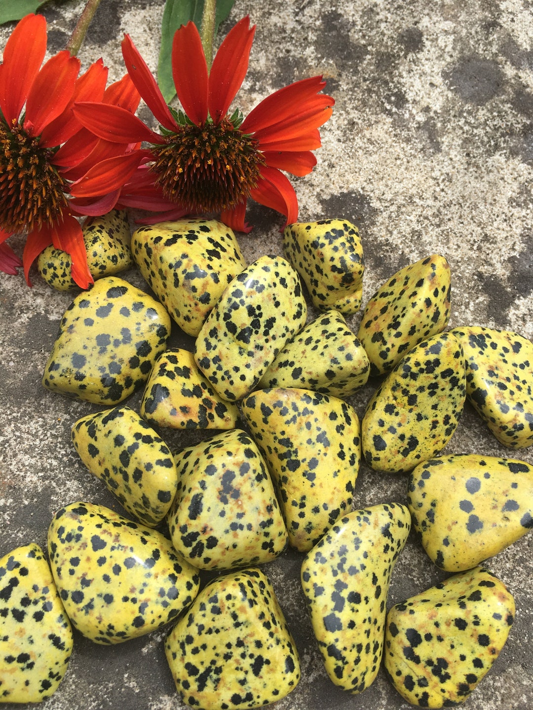 Dalmation Jasper Yellow Tumble Stone High Grade - Etsy
