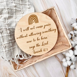 Rainbow Baby Nursery Sign/ Biblical Birth Announcement Sign/ - Etsy