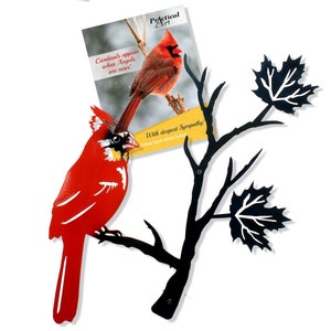 Red Cardinal | Sympathy Gift | Memorial Tribute | in Loving Memory Of ...