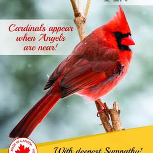 Red Cardinal | Sympathy Gift | Memorial Tribute | in Loving Memory Of ...