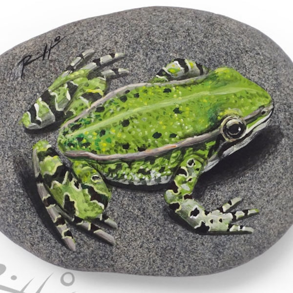 Frog on a Rock - Etsy