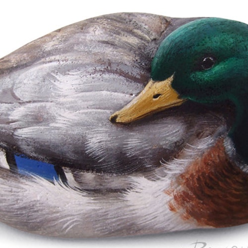 Amazing Zebra Painted on A Sea Rock Stone Art by Roberto - Etsy