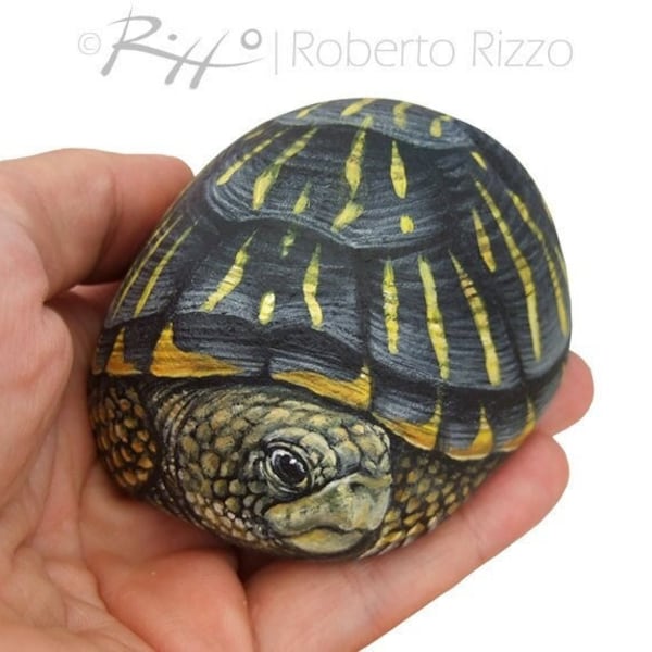 Painted Rock Turtle - Etsy