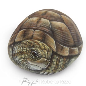 Unique Hand Painted Tortoise | A Wonderful Earth Turtle Painted With ...