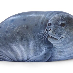 Stunning Rock Painted Seal Painted Stones by Roberto Rizzo Rock ...