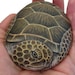 Unique Hand Painted Rock Sea Turtle | Rock Art Sea Turtle Painted on ...