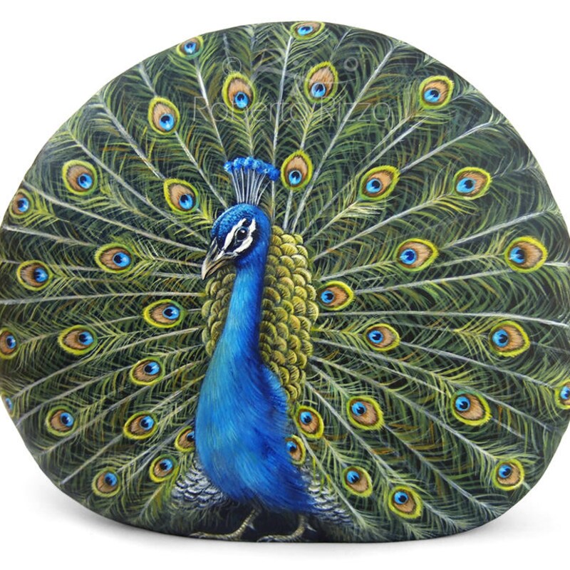 Peacock Eye Stone - Etsy