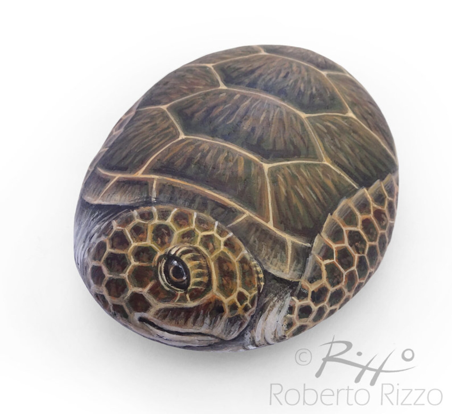 Unique Hand Painted Rock Sea Turtle | Rock Art Sea Turtle Painted on ...