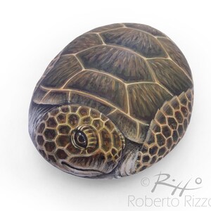 Unique Hand Painted Rock Sea Turtle | Rock Art Sea Turtle Painted on ...