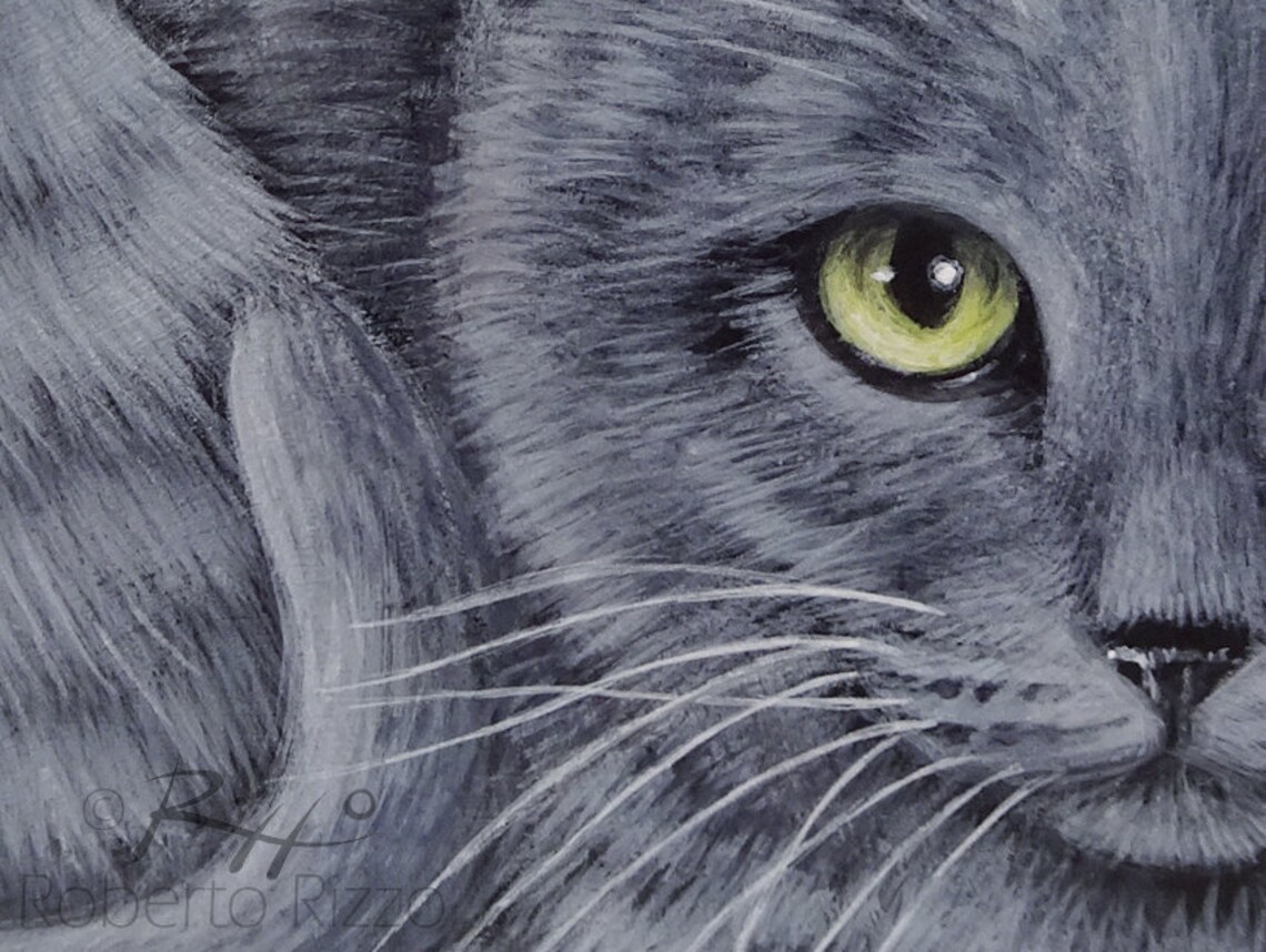Stunning Rock Painted Russian Blue Cat on a Sea Rock! Painted Rocks ...