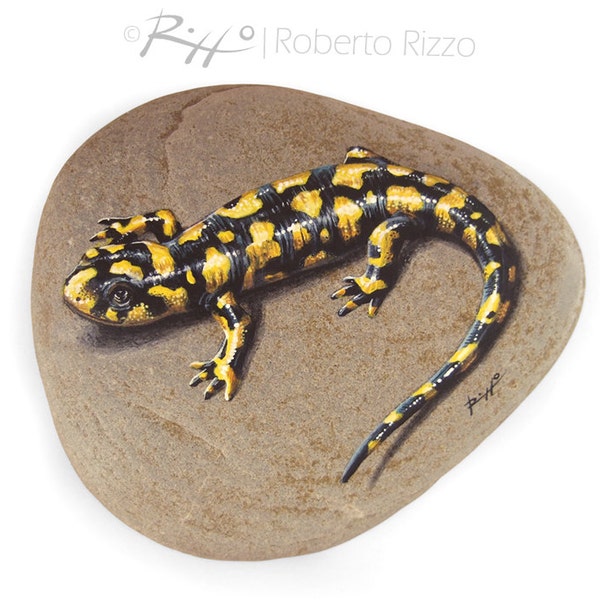 Roberto Rizzo Art - Etsy