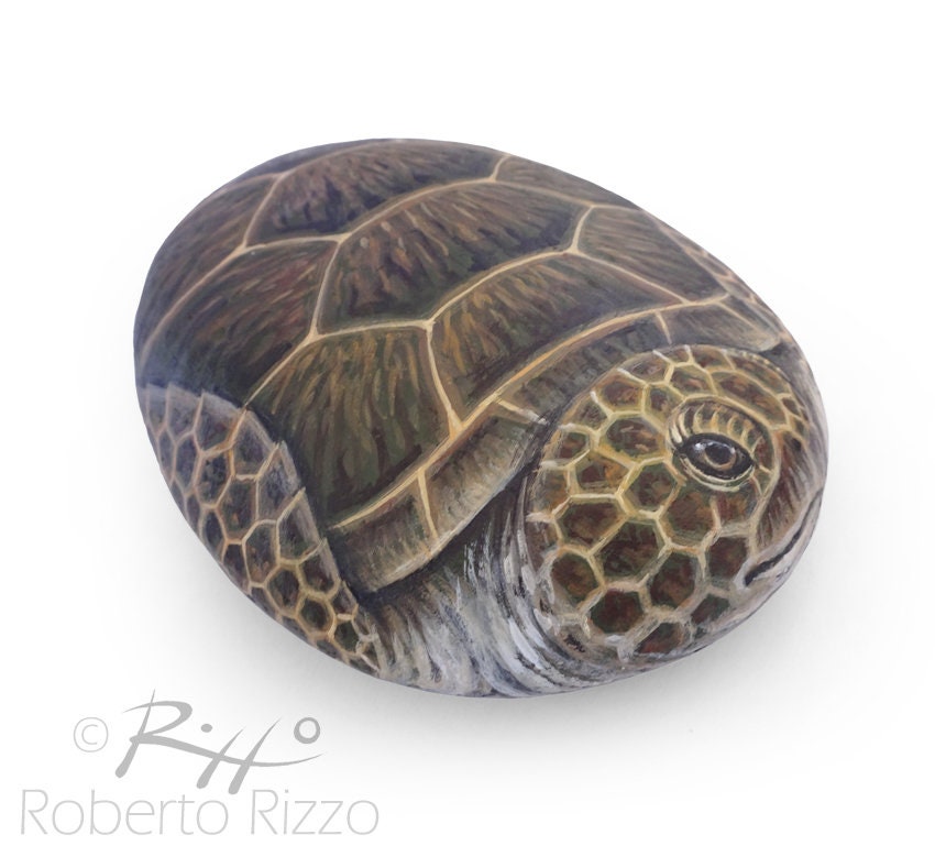 Unique Hand Painted Rock Sea Turtle | Rock Art Sea Turtle Painted on ...