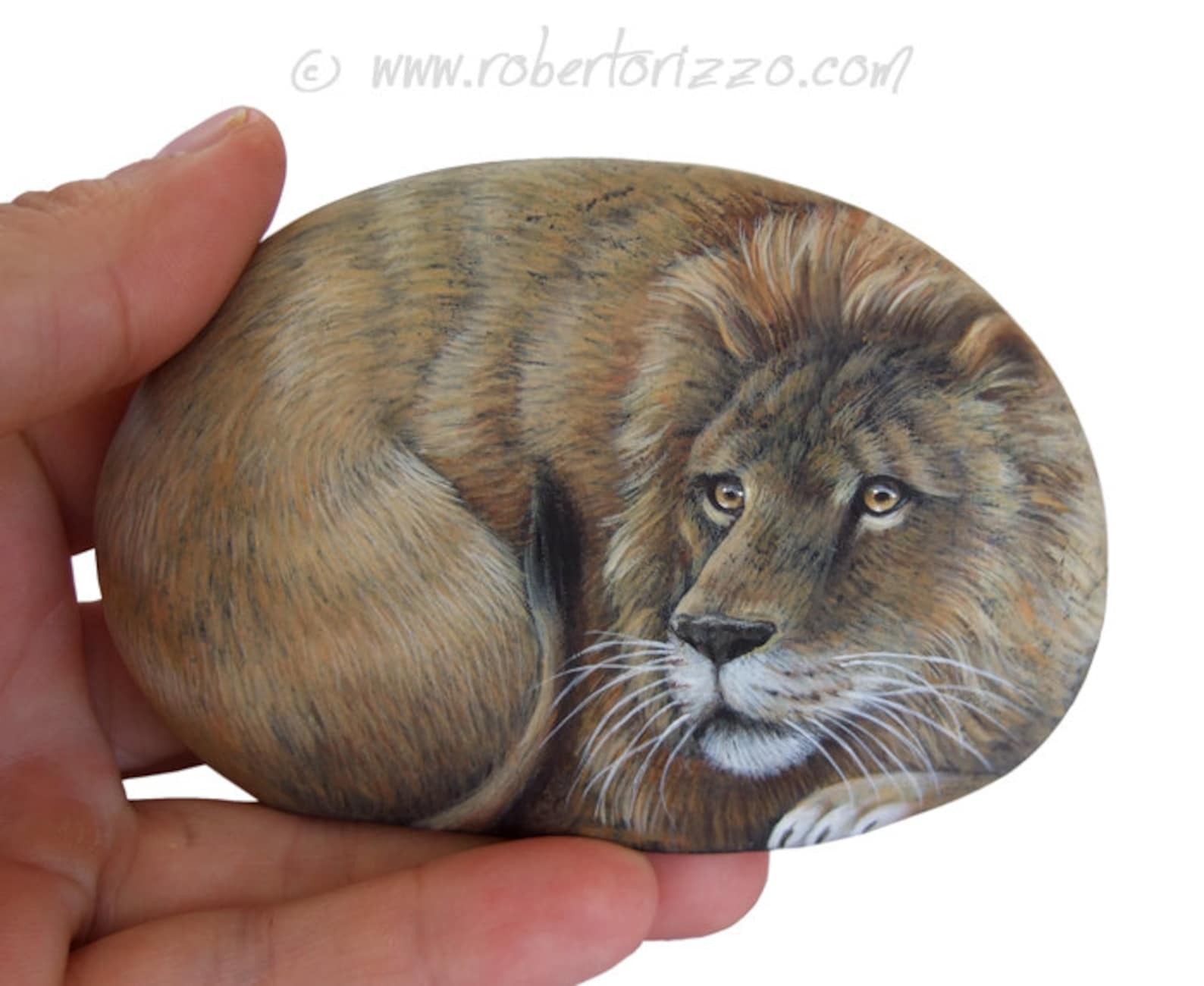 Hand Painted Stone Lion | Wildlife Rock Art by Roberto Rizzo | A Unique ...