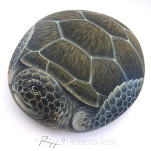 Unique Hand Painted Rock Sea Turtle - Etsy