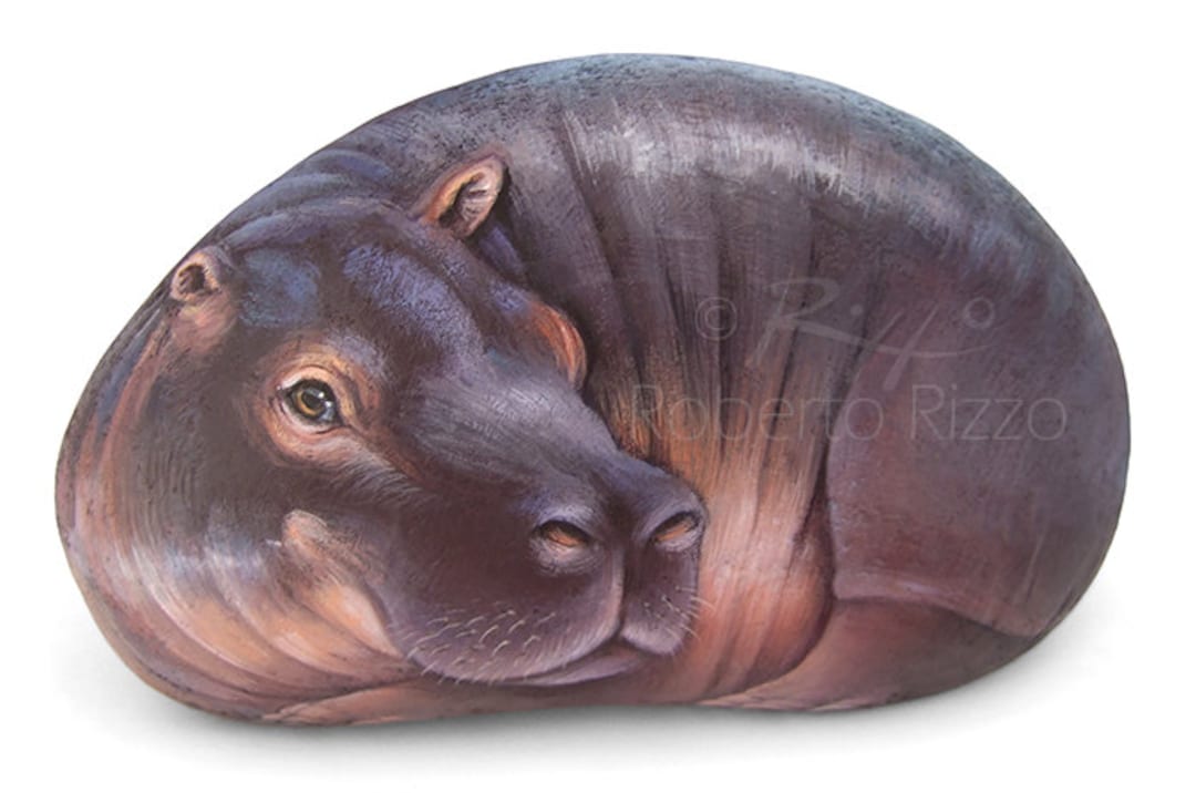 Rock Painted Hippopotamus - Etsy