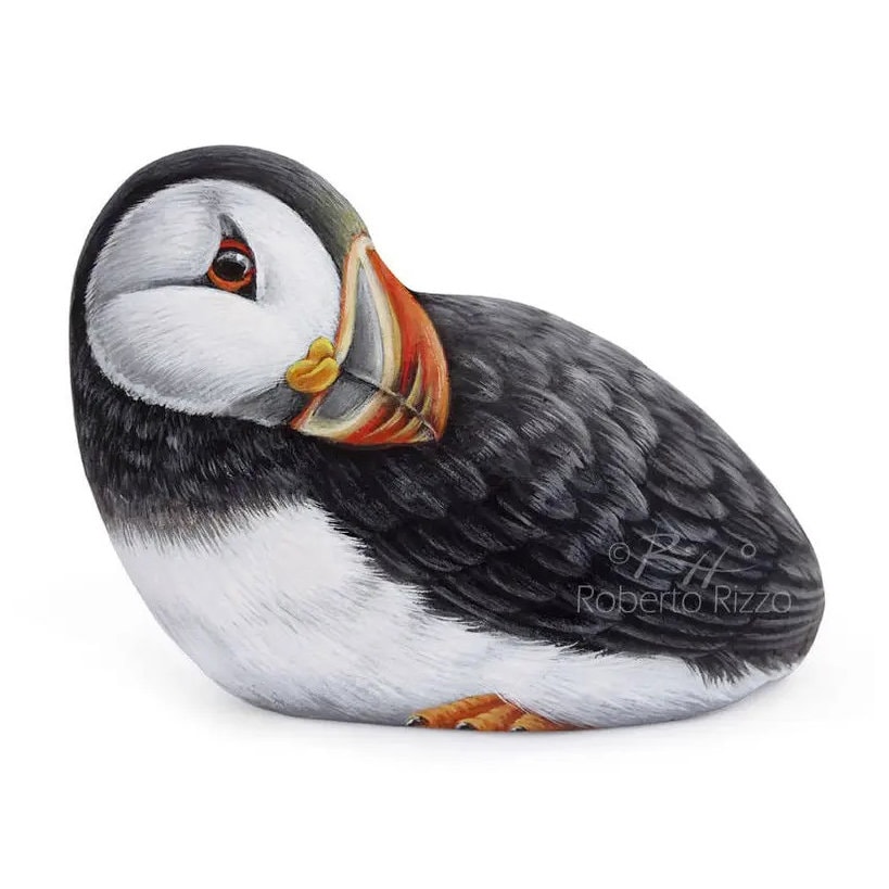Unique Hand Painted Rock Puffin! A Stunning Piece of Art and a Great ...