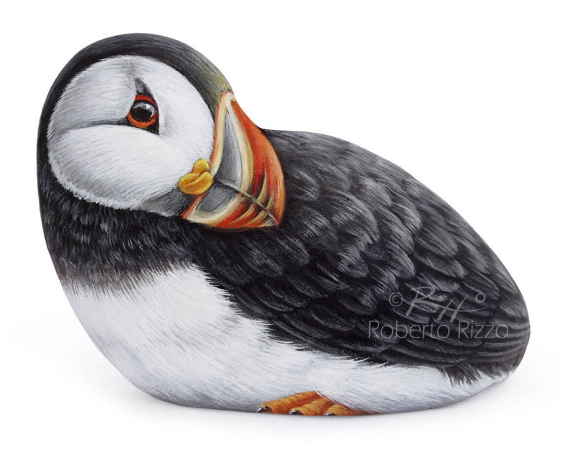 Unique Hand Painted Rock Puffin! A Stunning Piece of Art and a Great ...
