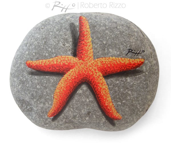 Original Hand Painted Red Starfish 'resting' on A Rock! - Etsy