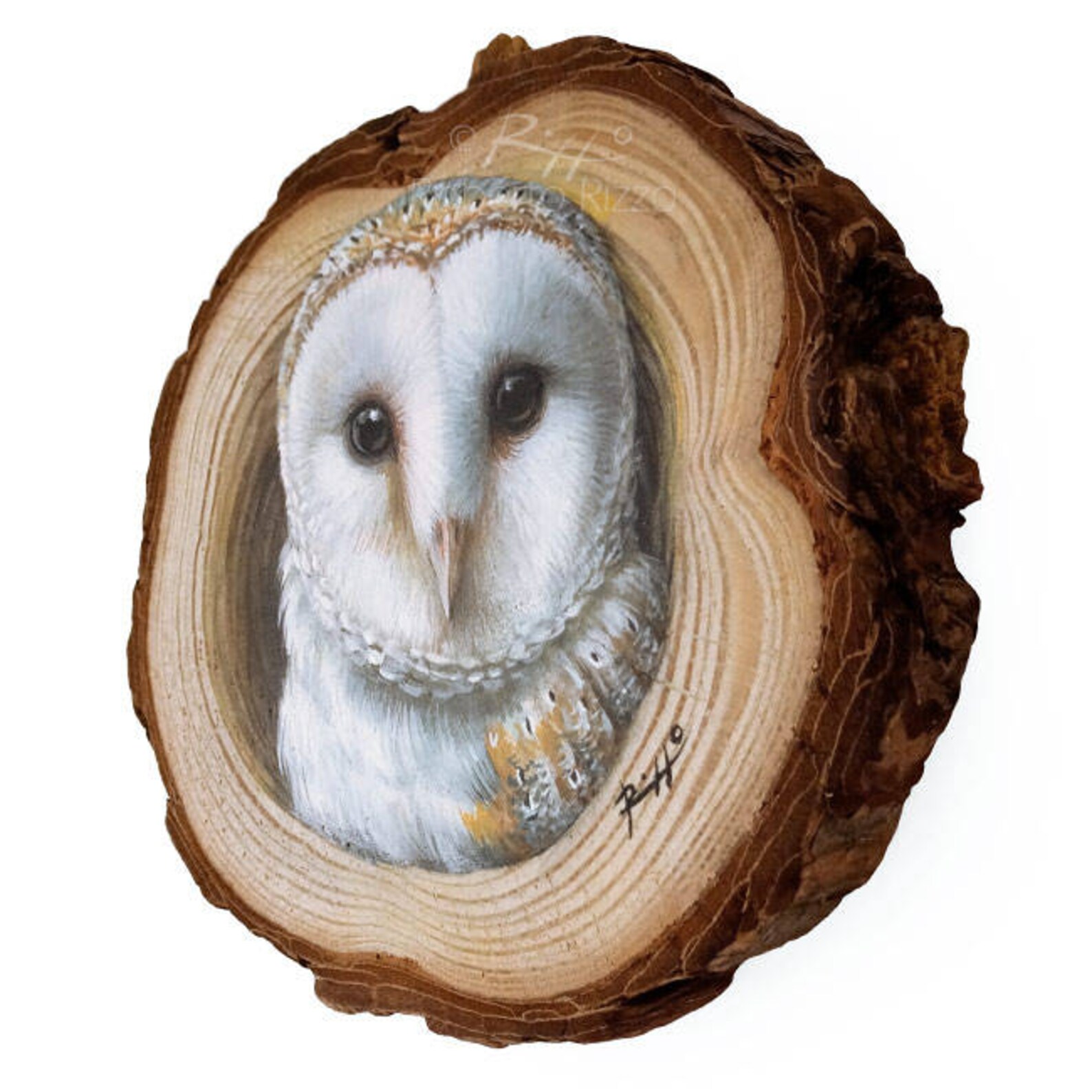 A Realistic Barn Owl Coming Out From Its Lair a Unique Wood - Etsy