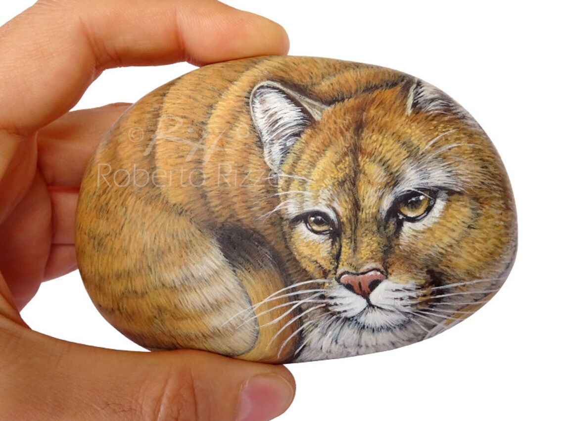 Beautiful Puma Hand Painted Rock | Mountain Lion Stone Art by Roberto ...