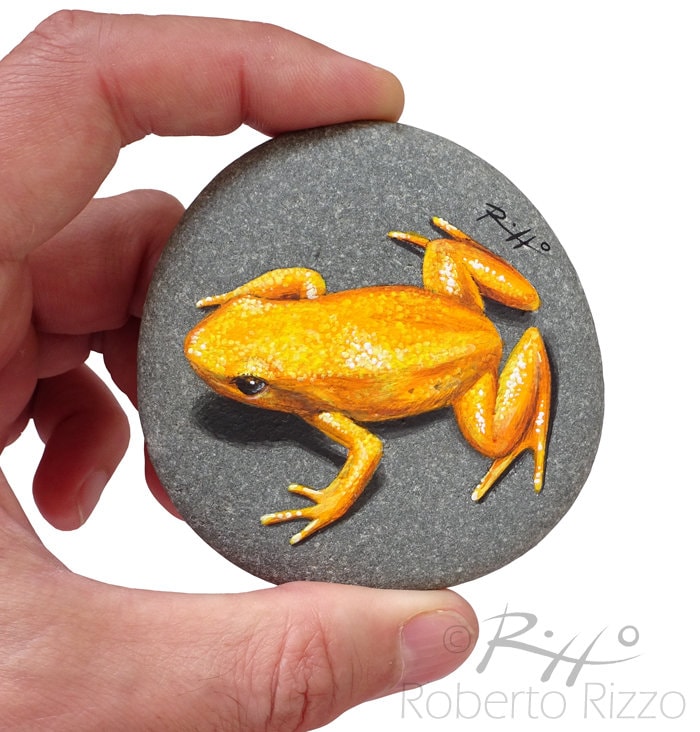Unique Hand Painted Golden Frog Resting on A Rock Small Trompe L'oeil ...