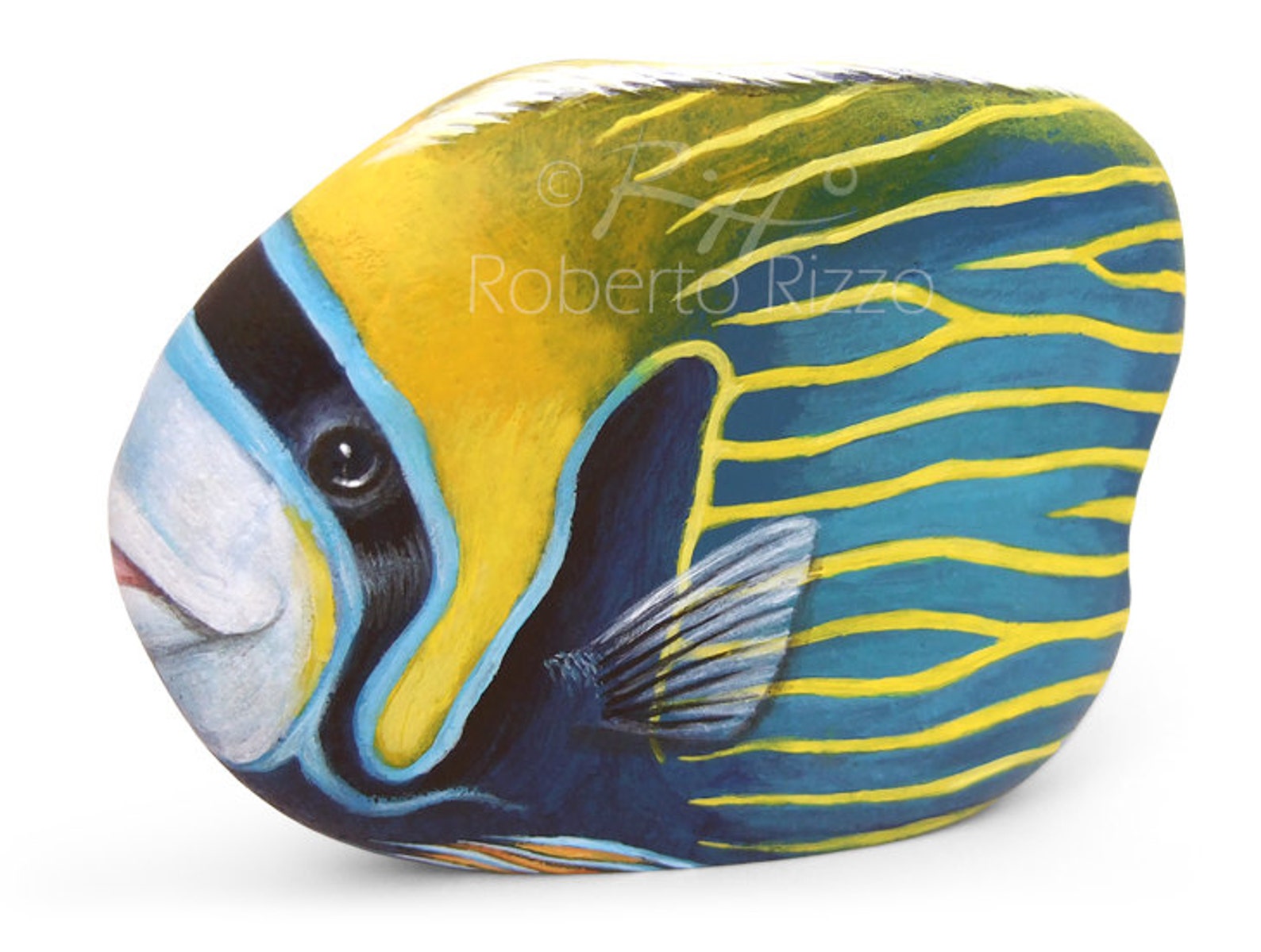 A Rare Shaped Stone Transformed in an Emperor Angel Fish! Rock Painting ...