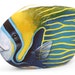 A Rare Shaped Stone Transformed in an Emperor Angel Fish Rock Painting ...