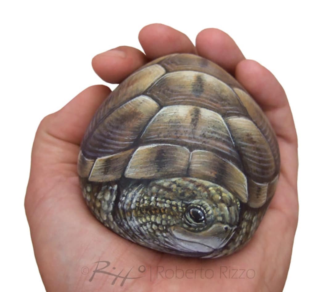 Unique Hand Painted Tortoise | A Wonderful Earth Turtle Painted With ...