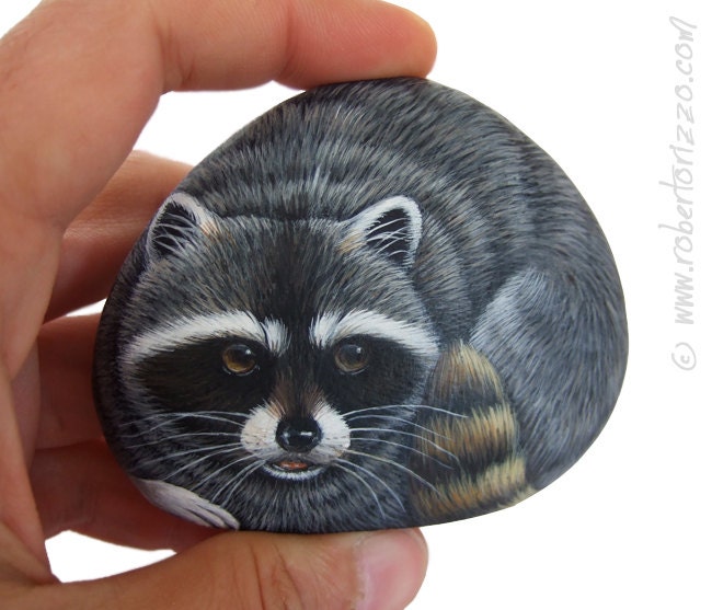 An Original Stone Painted Raccoon! | Rock Painting Art by Roberto Rizzo ...