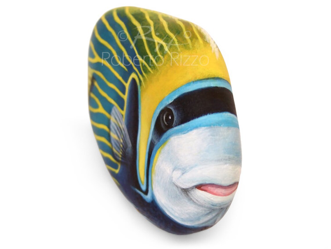 A Rare Shaped Stone Transformed in an Emperor Angel Fish! Rock Painting ...