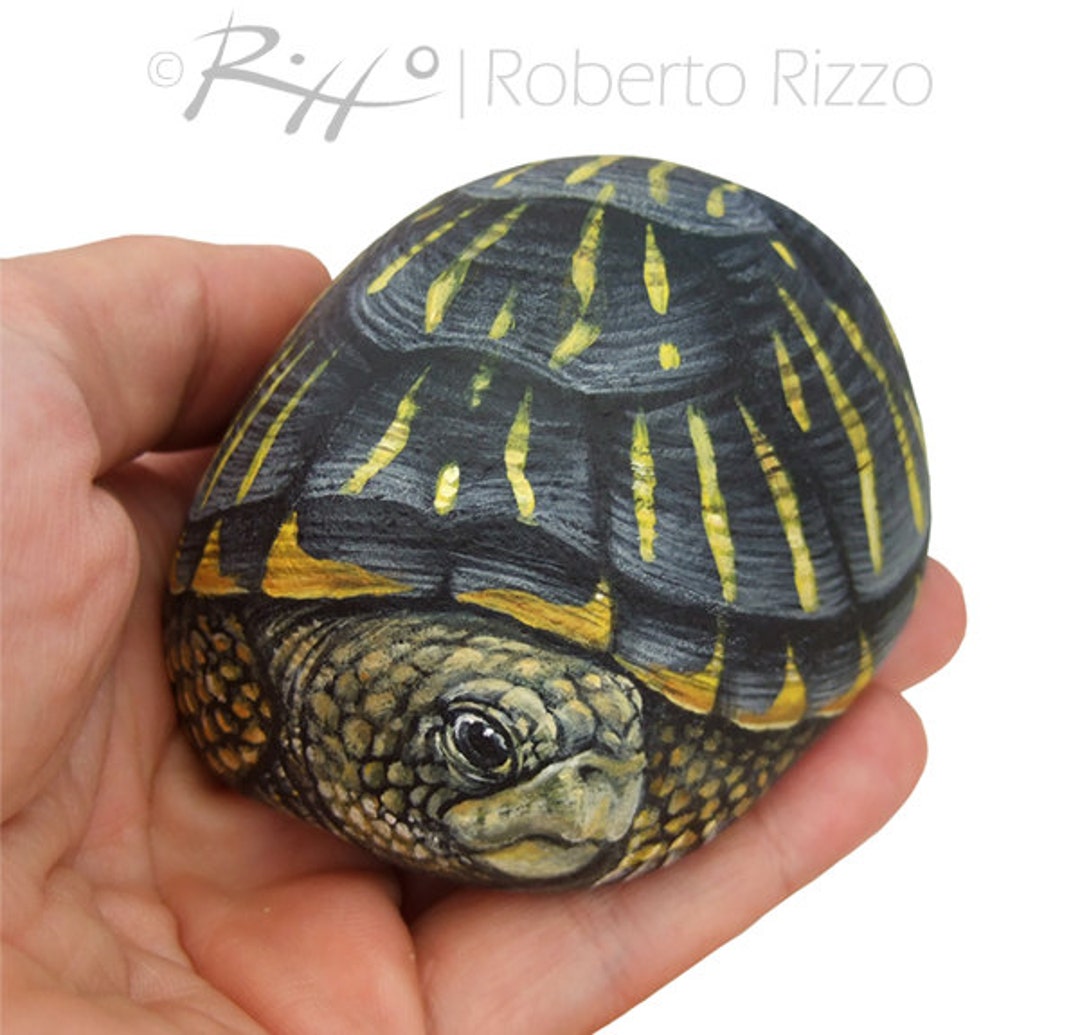 Unique Hand Painted Tortoise A Wonderful Box Earth Turtle Painted With ...