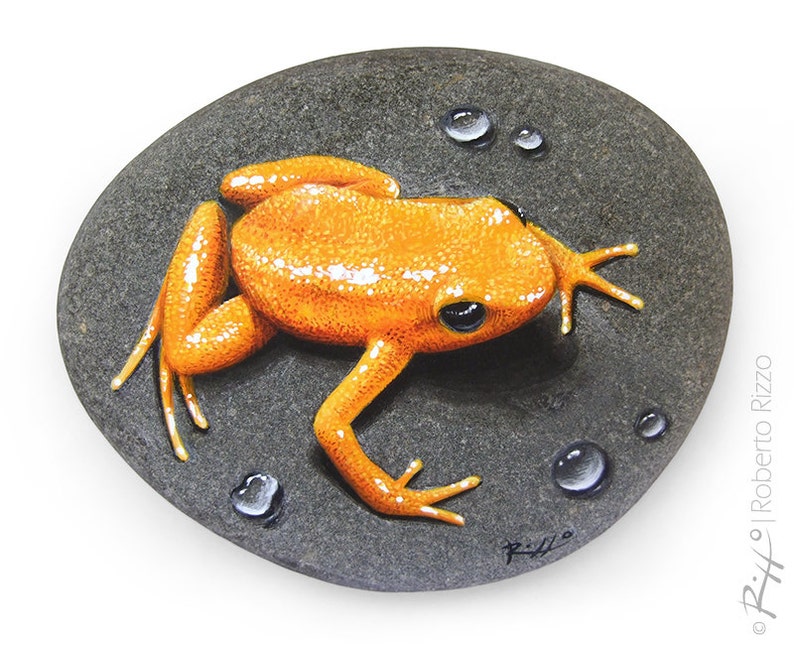 Unique Hand Painted Golden Frog Resting on A Rock | Small Trompe L'oeil ...