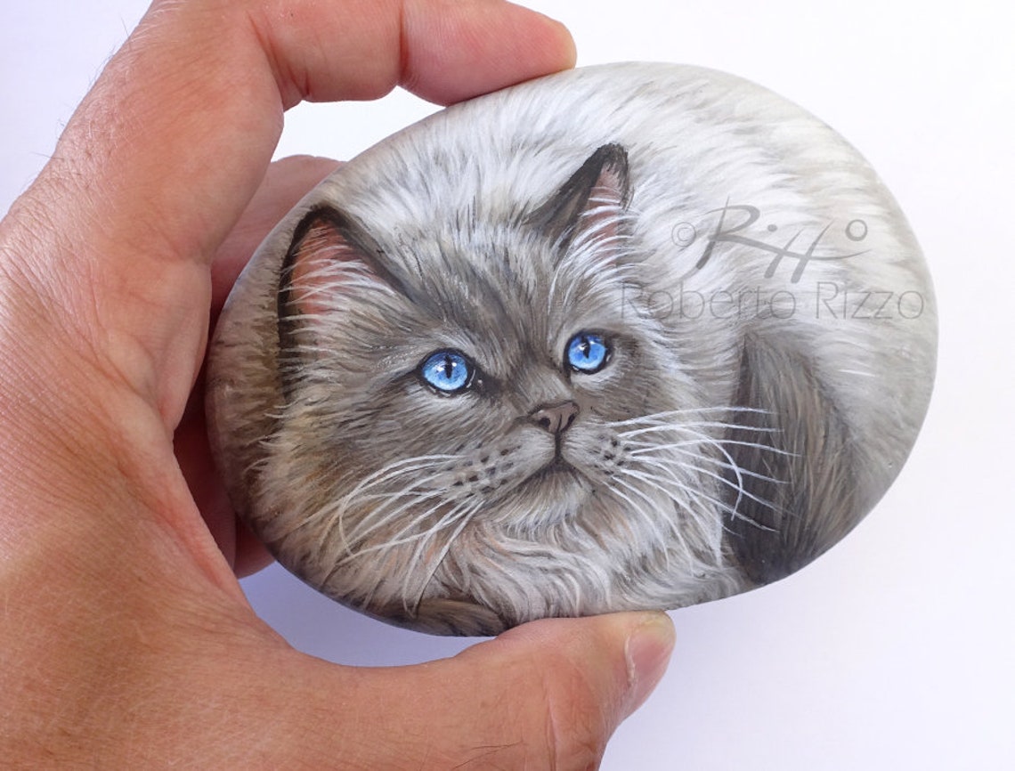 Irresistible Ragdoll Cat Painted on A Sea Stone | Rock Art by Roberto ...