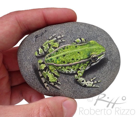 Frog Painted Rocks PEBBLE ART PAINTED FROG ON STONE Folksy