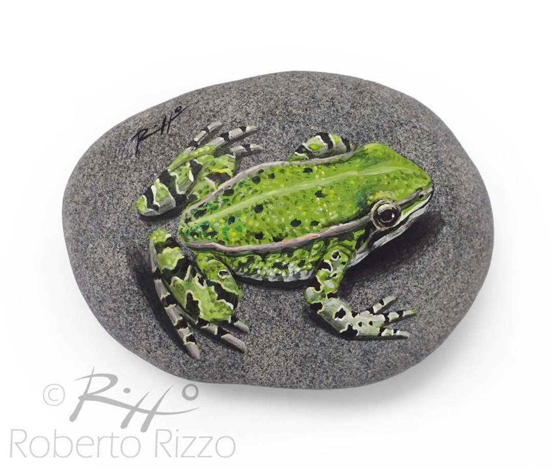 Unique Hand Painted Green Frog Resting on A Rock Small Trompe L'oeil ...