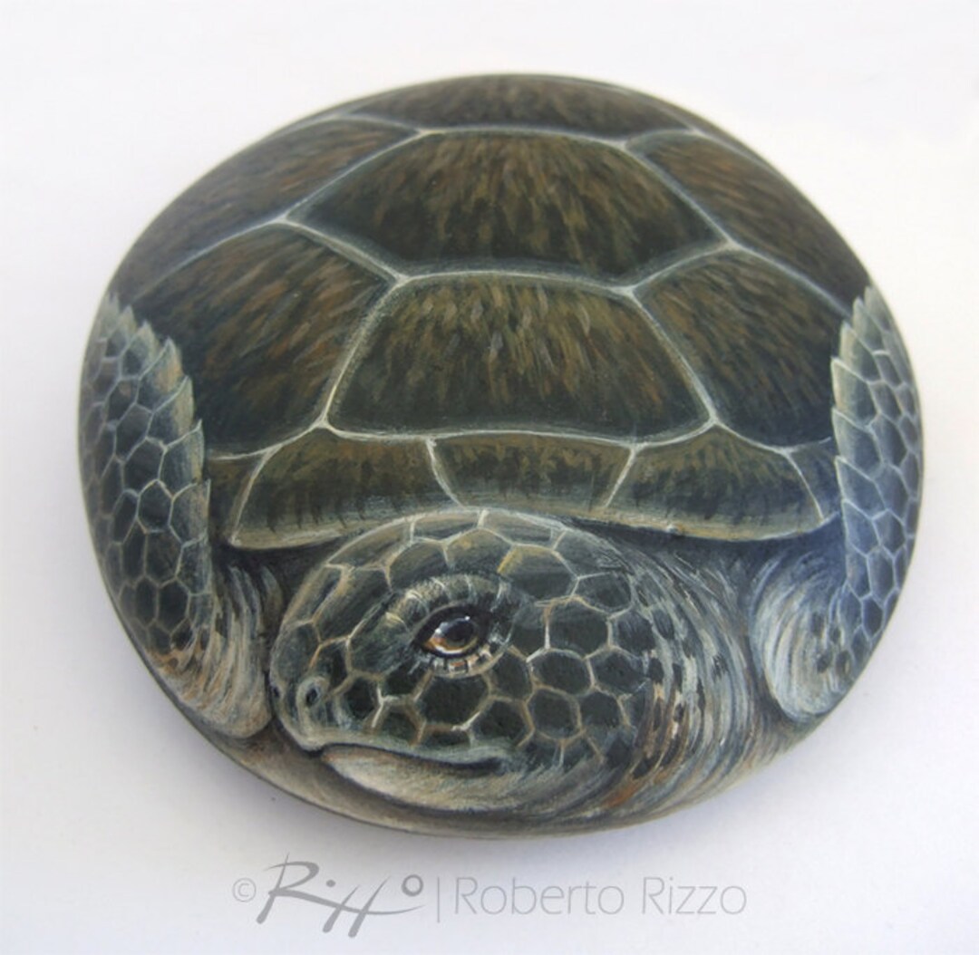 Unique Hand Painted Rock Sea Turtle - Etsy